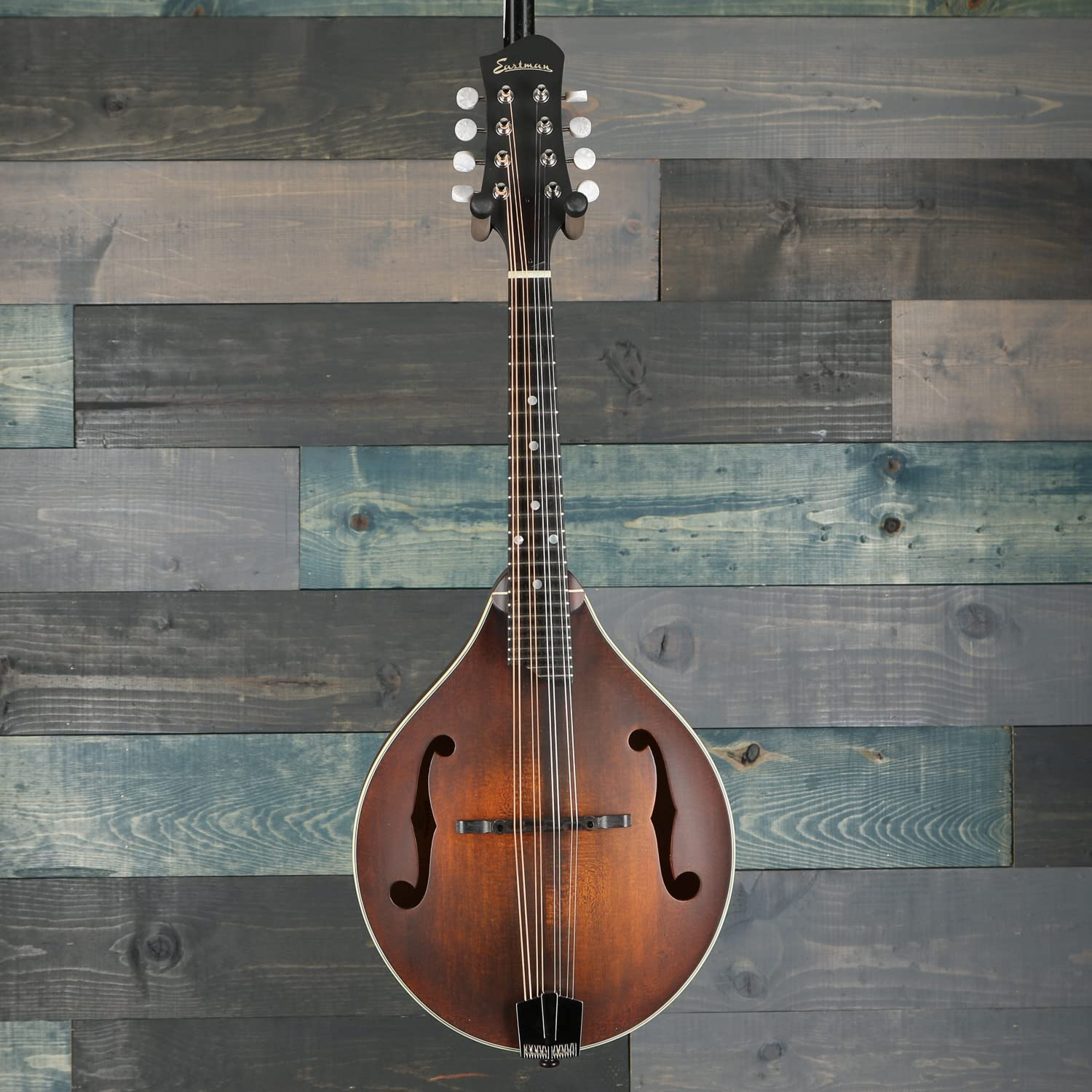 The Best Beginner Mandolins - Roadie Music Blog