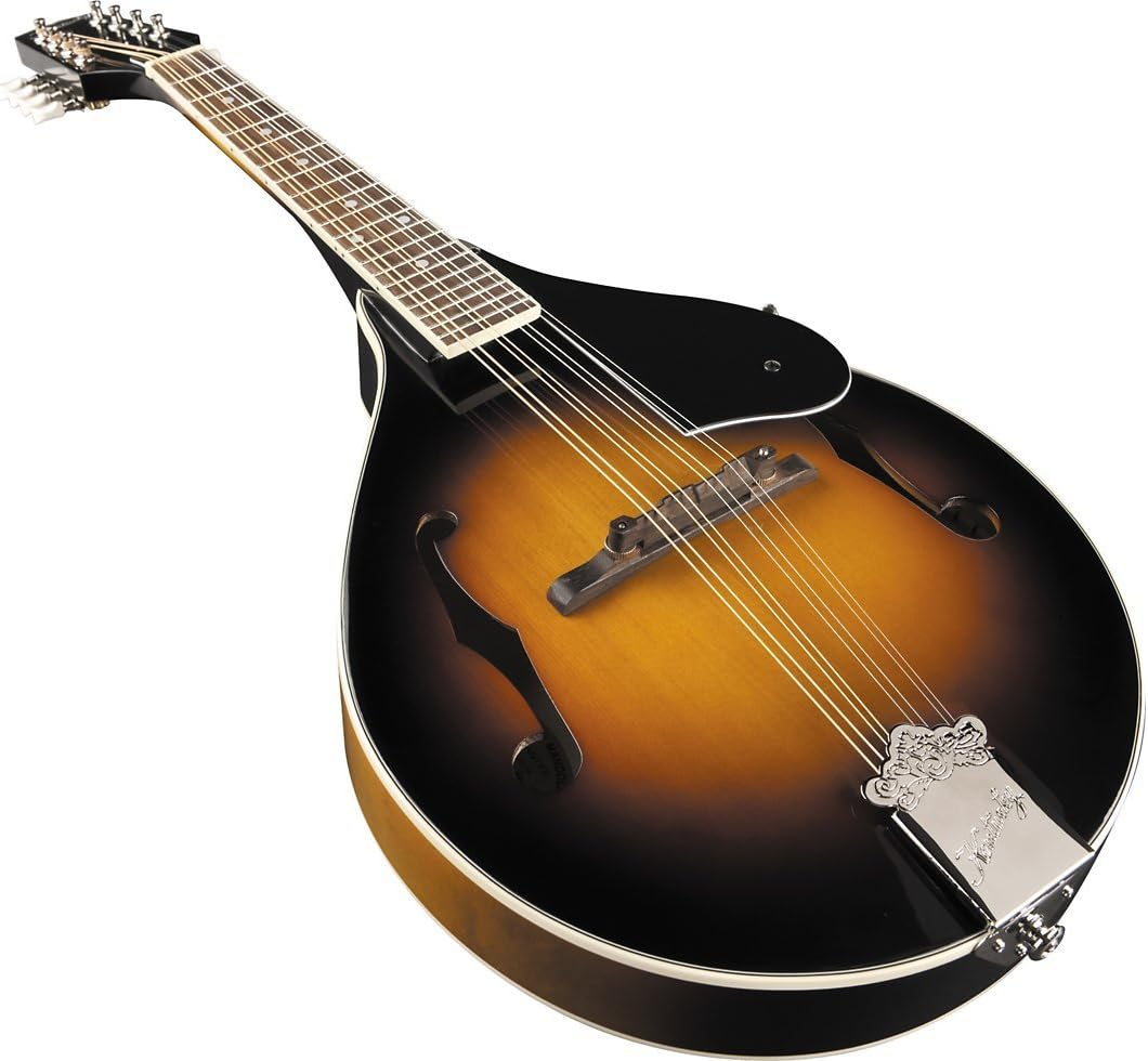 The Best Beginner Mandolins - Roadie Music Blog